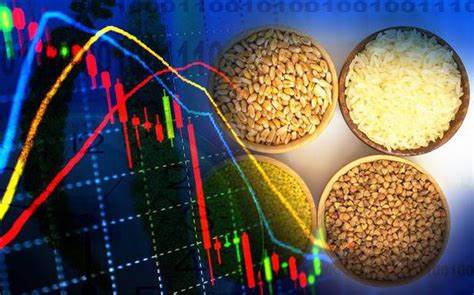 M.H Traders – Commodities Trading & Bank Instruments