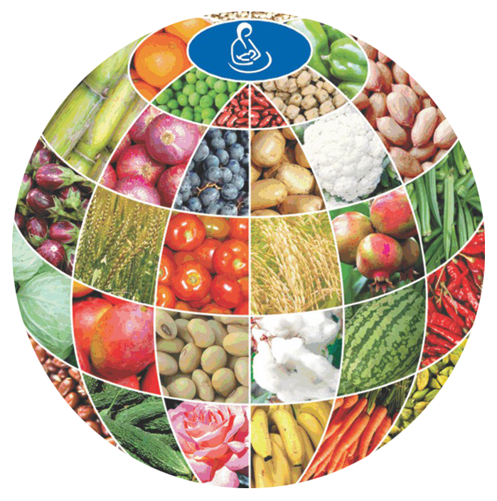 M.H Traders – Commodities Trading & Bank Instruments